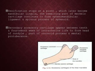 SURGICAL ANATOMY OF MANDIBLE.pptx