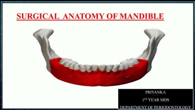 SURGICAL ANATOMY OF MANDIBLE.pptx | Bone and Joint Conditions ...
