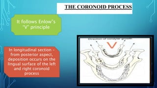 SURGICAL ANATOMY OF MANDIBLE.pptx