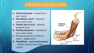 SURGICAL ANATOMY OF MANDIBLE.pptx