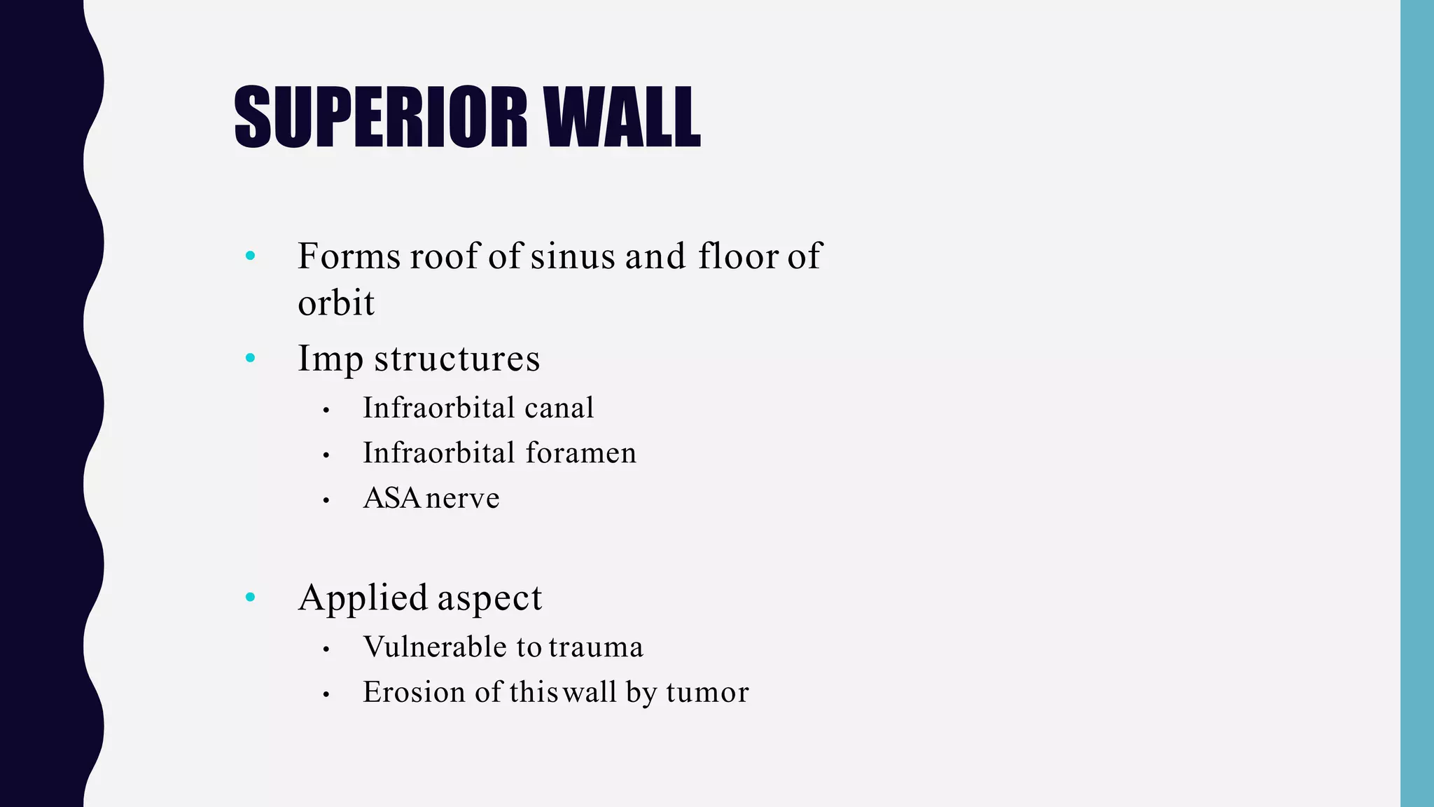 Surgical anatomy of maxillary sinus | PPTX