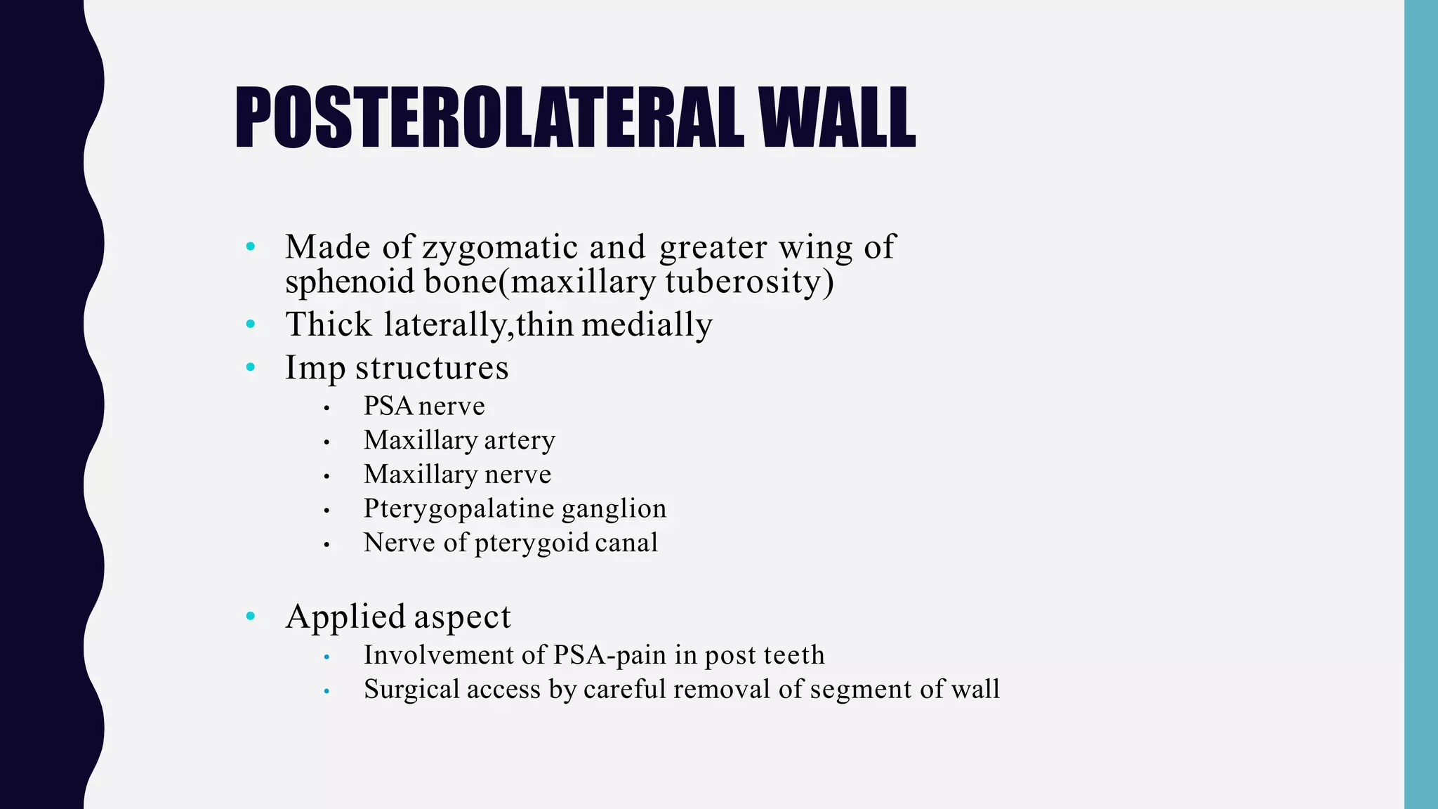 Surgical anatomy of maxillary sinus | PPTX