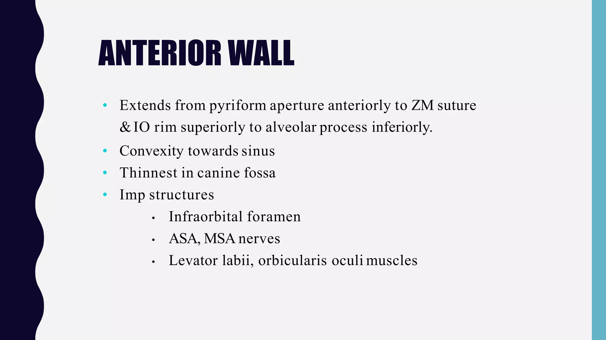 Surgical anatomy of maxillary sinus | PPTX