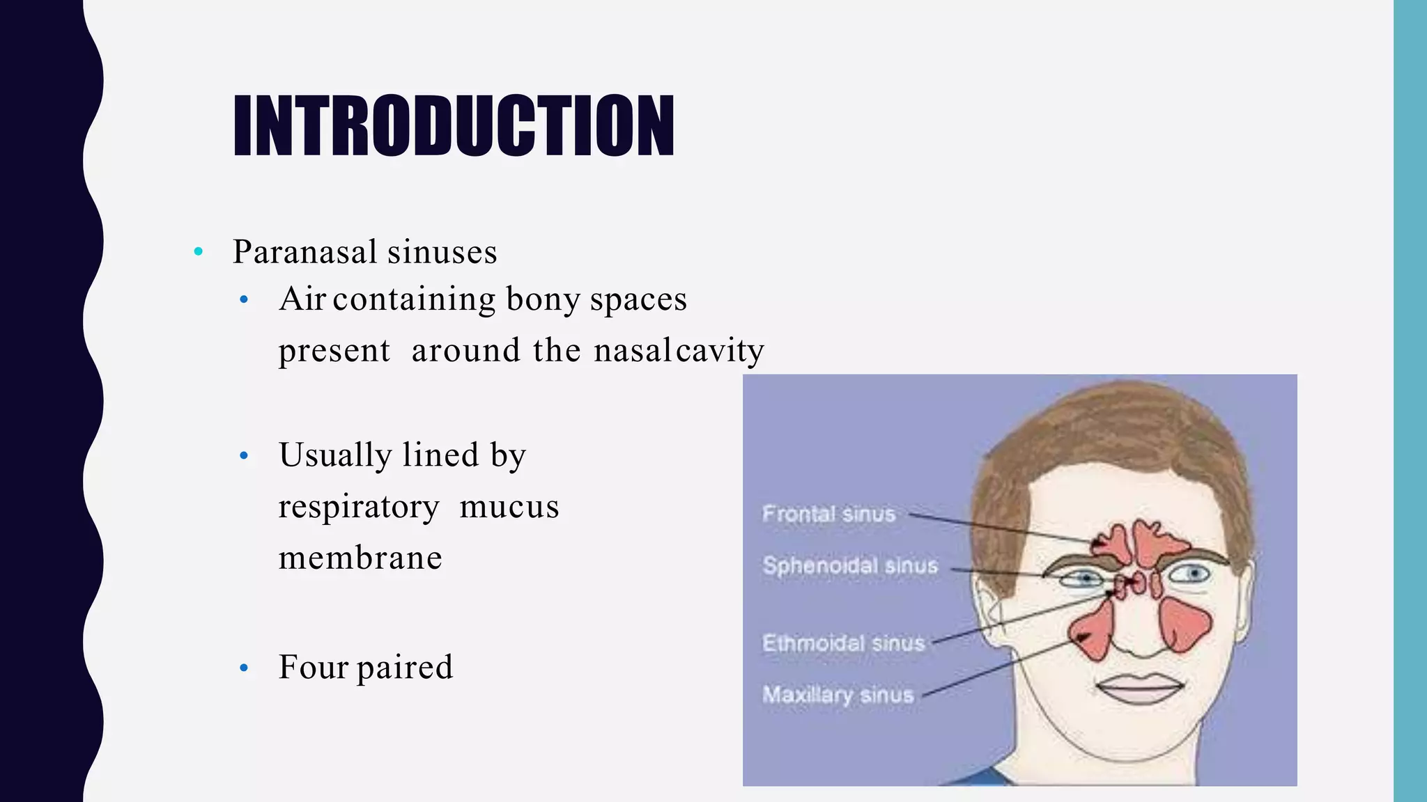 Surgical anatomy of maxillary sinus | PPTX