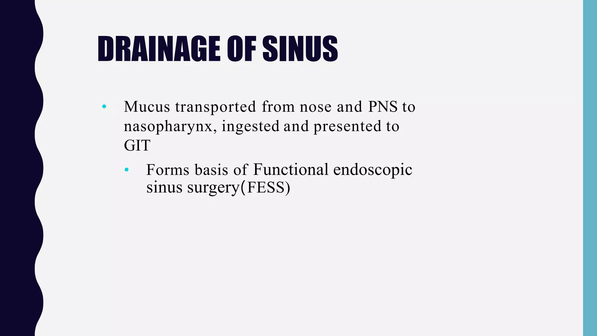 Surgical anatomy of maxillary sinus | PPTX
