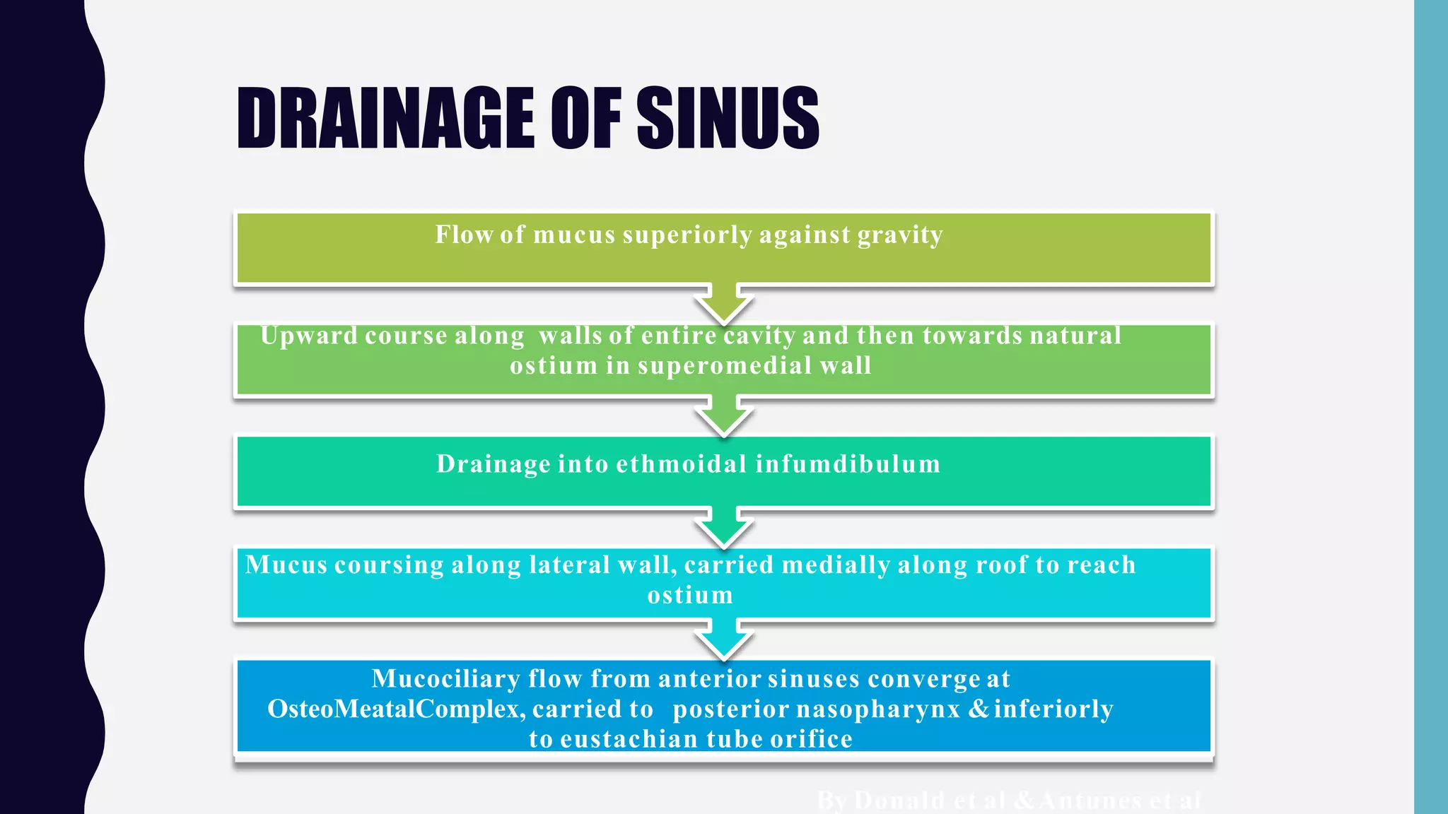 Surgical anatomy of maxillary sinus | PPTX