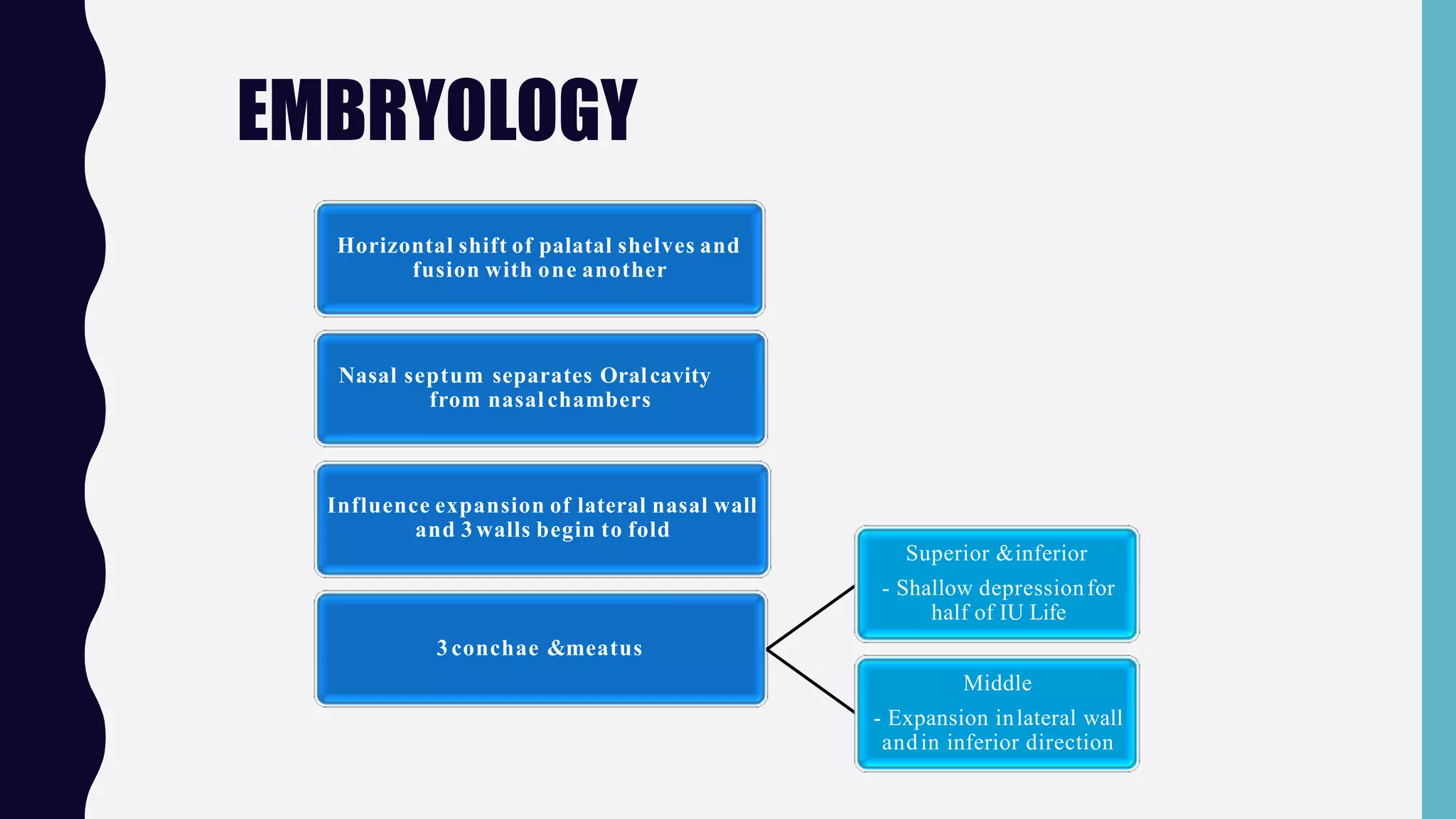 Surgical anatomy of maxillary sinus | PPTX