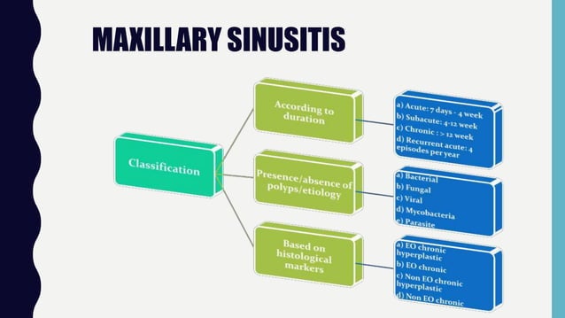 Surgical anatomy of maxillary sinus | PPTX