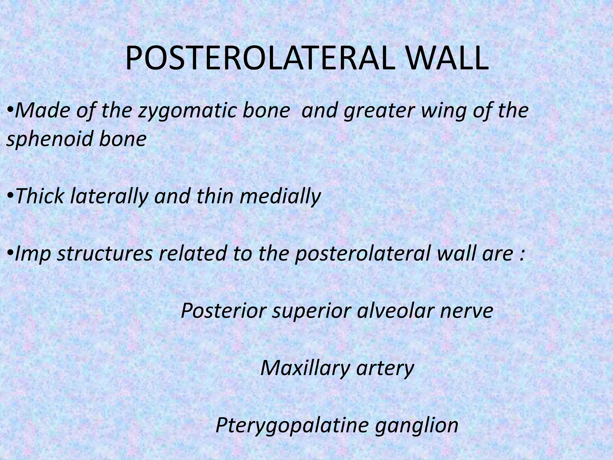Surgical anatomy of Maxillary Sinus , Lateral wall of nose and Soft ...