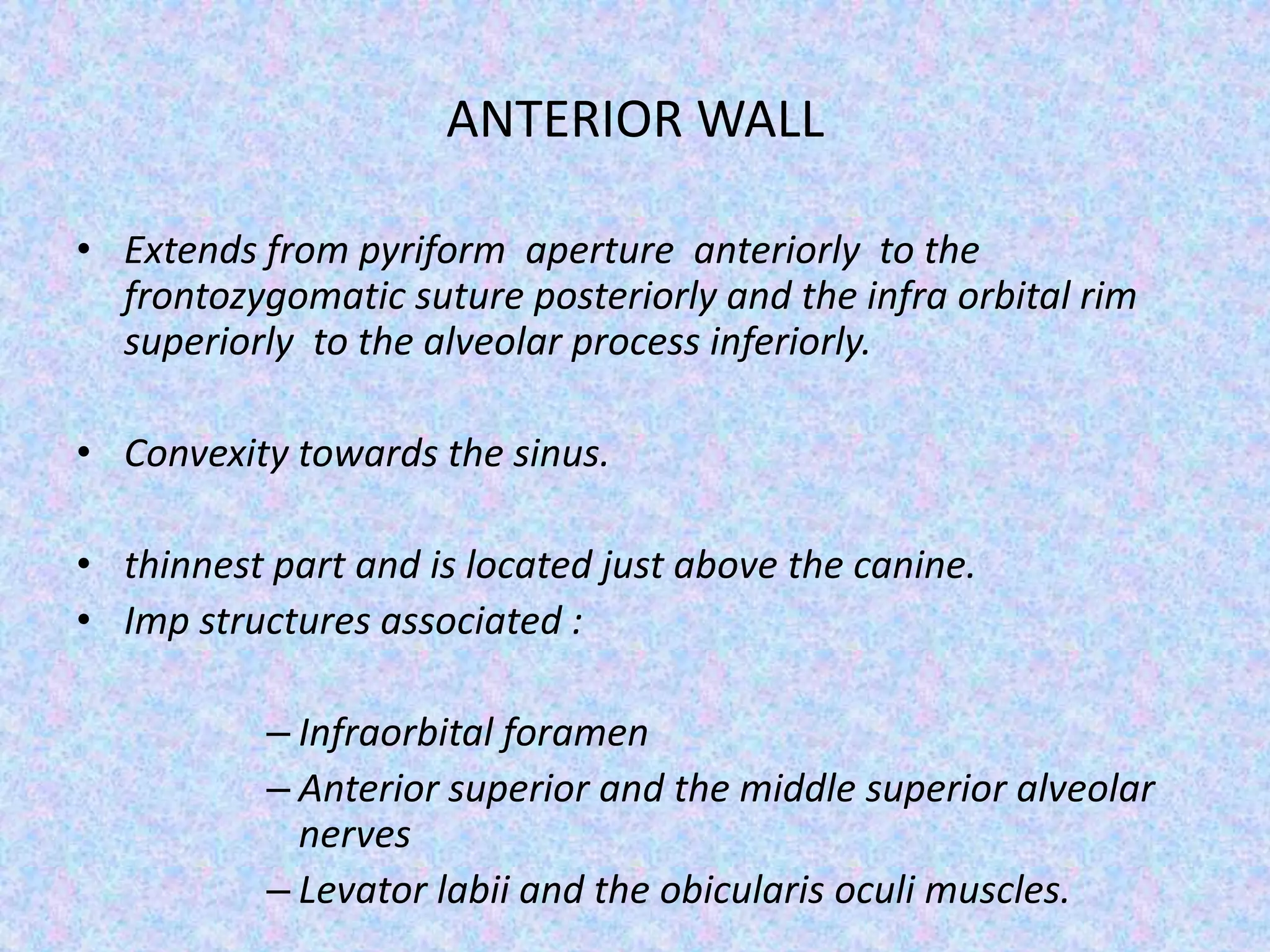 Surgical anatomy of Maxillary Sinus , Lateral wall of nose and Soft ...