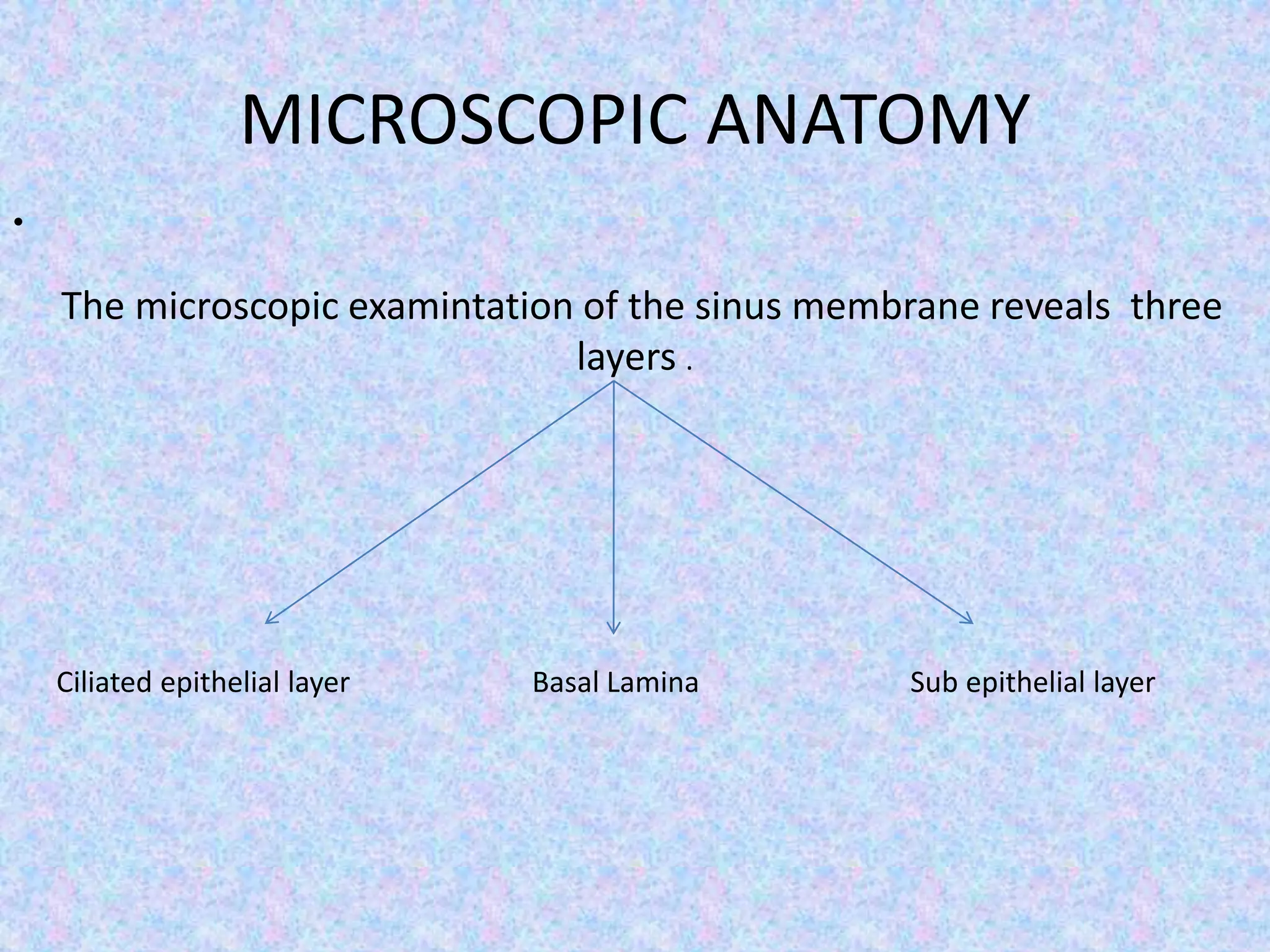 Surgical anatomy of Maxillary Sinus , Lateral wall of nose and Soft ...