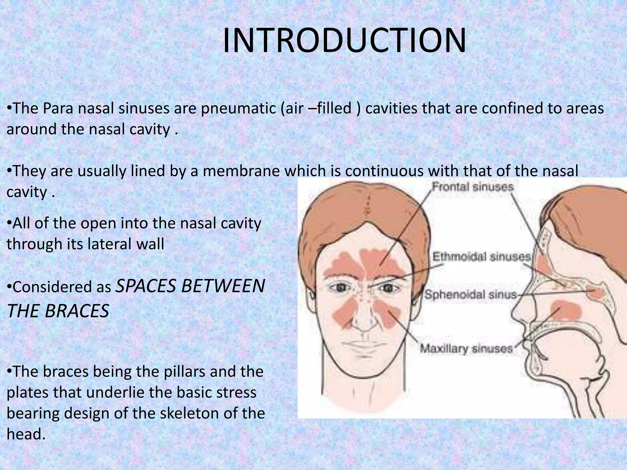Surgical anatomy of Maxillary Sinus , Lateral wall of nose and Soft ...