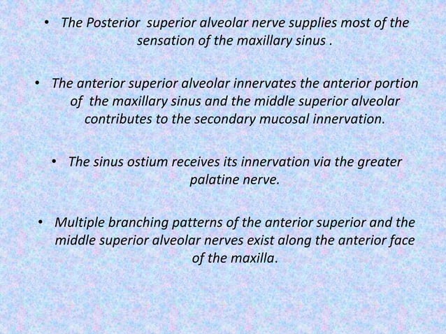 Surgical anatomy of Maxillary Sinus , Lateral wall of nose and Soft ...