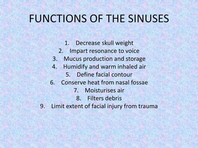 Surgical anatomy of Maxillary Sinus , Lateral wall of nose and Soft ...