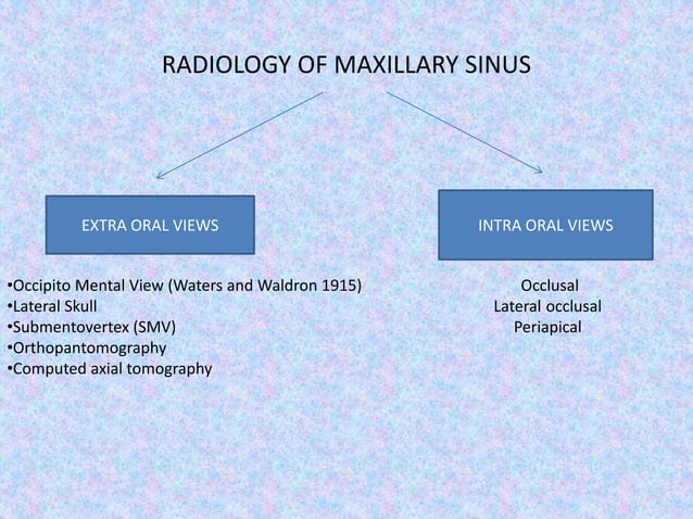 Surgical anatomy of Maxillary Sinus , Lateral wall of nose and Soft ...