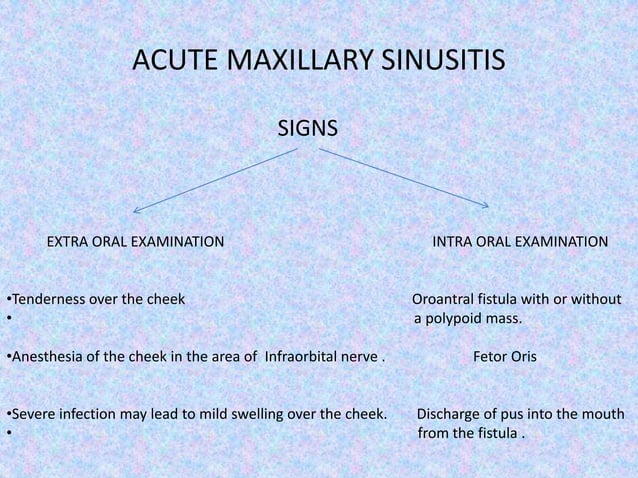 Surgical anatomy of Maxillary Sinus , Lateral wall of nose and Soft ...