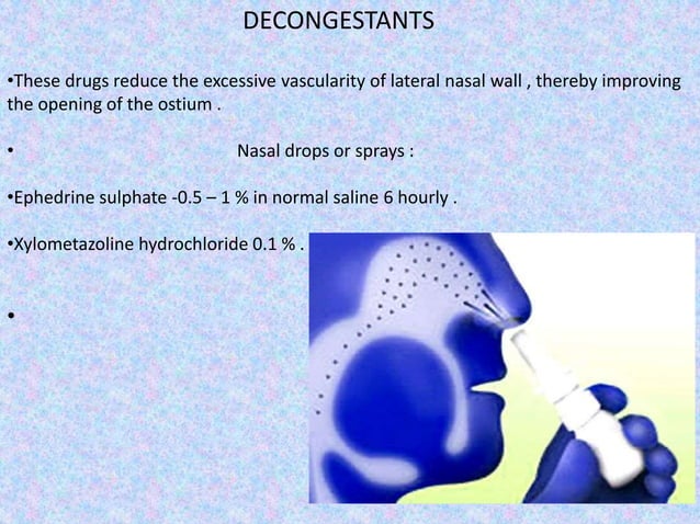 Surgical anatomy of Maxillary Sinus , Lateral wall of nose and Soft ...