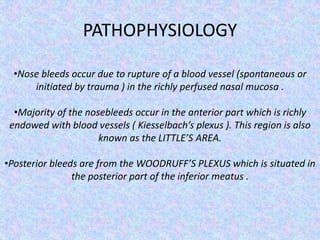 Surgical anatomy of Maxillary Sinus , Lateral wall of nose and Soft ...