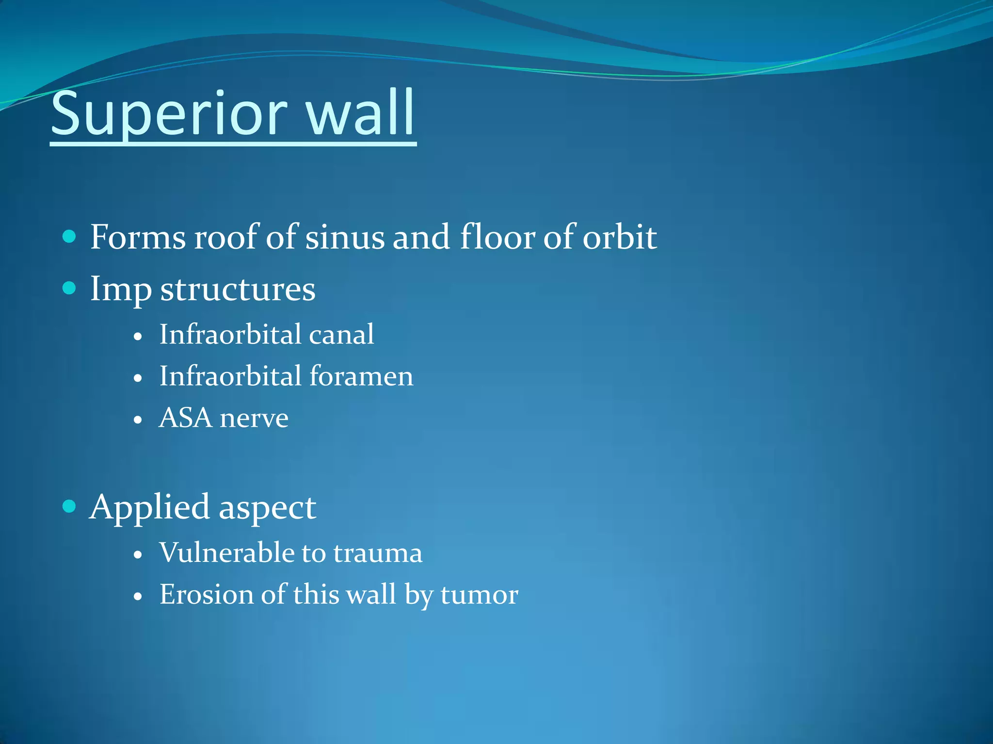 Surgical anatomy of maxillary sinus – note on (2) | PPTX