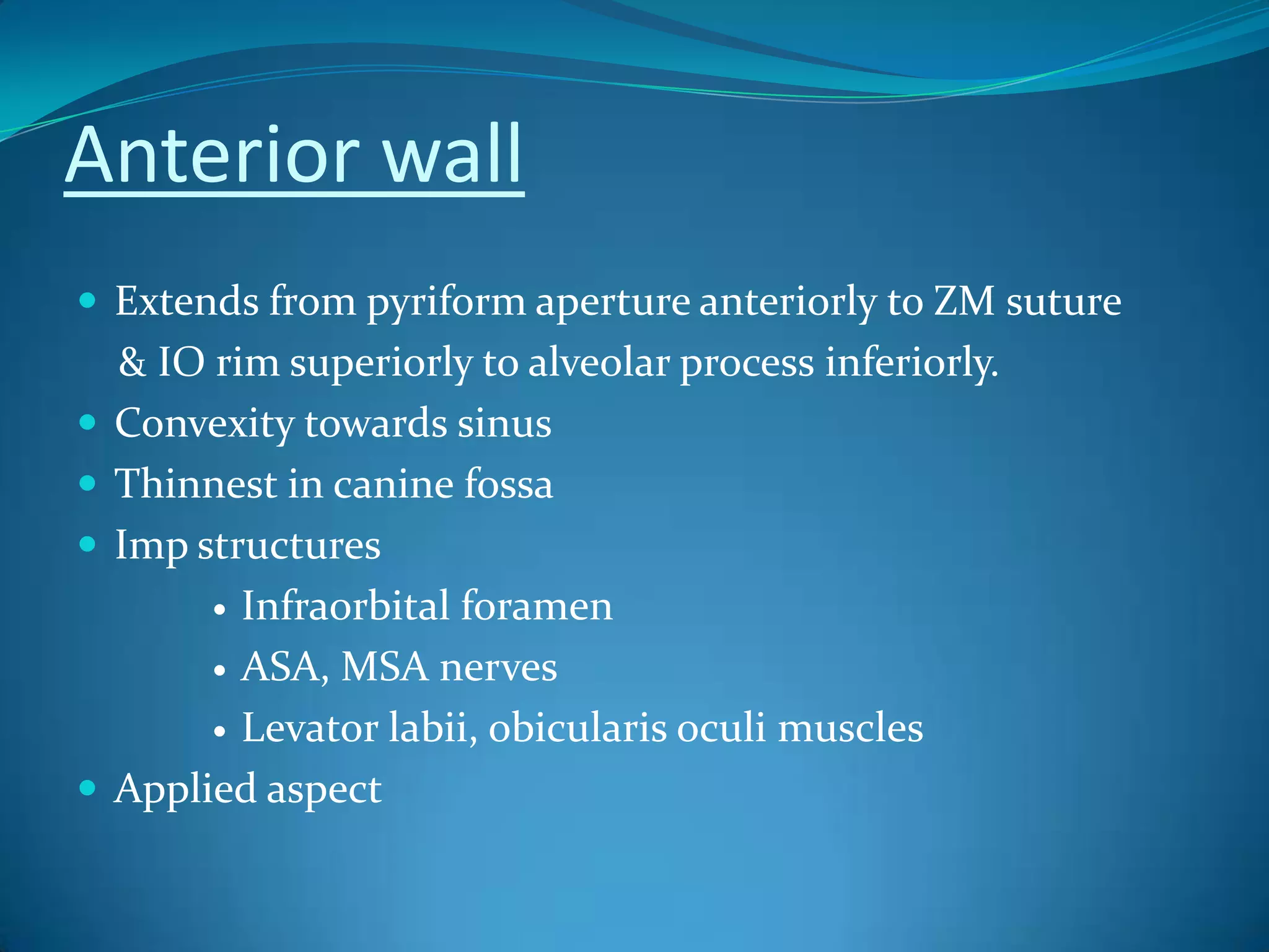 Surgical anatomy of maxillary sinus – note on (2) | PPTX