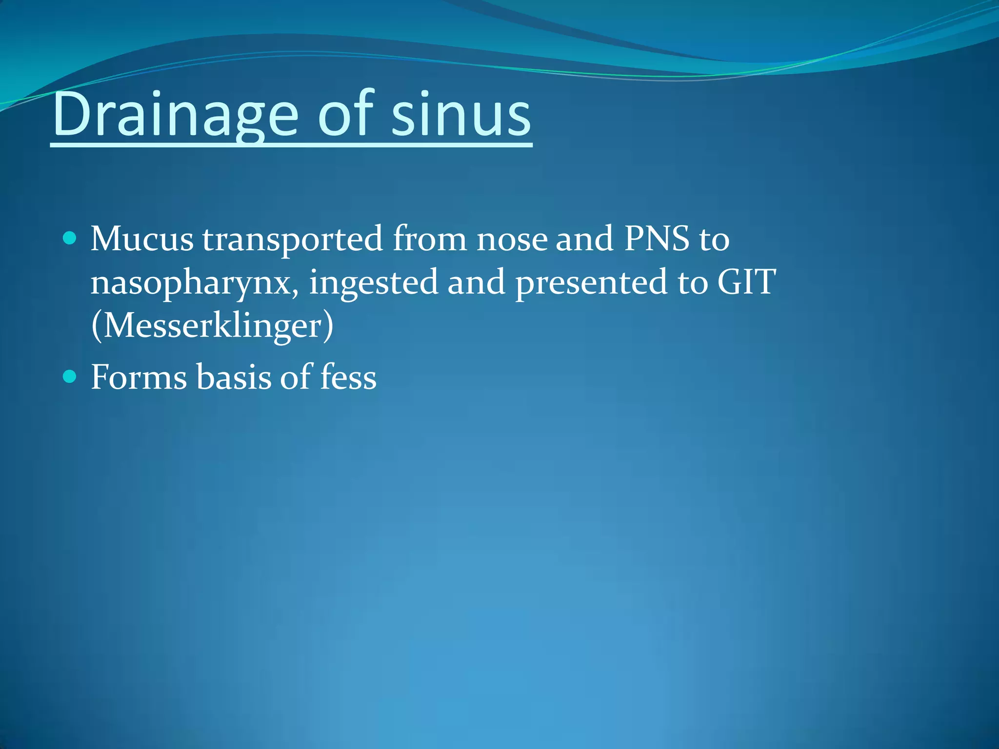 Surgical anatomy of maxillary sinus – note on (2) | PPTX