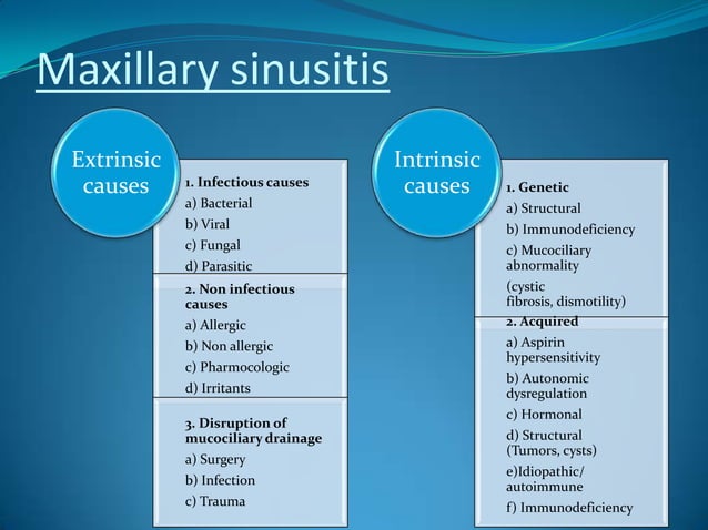 Surgical anatomy of maxillary sinus – note on (2) | PPTX