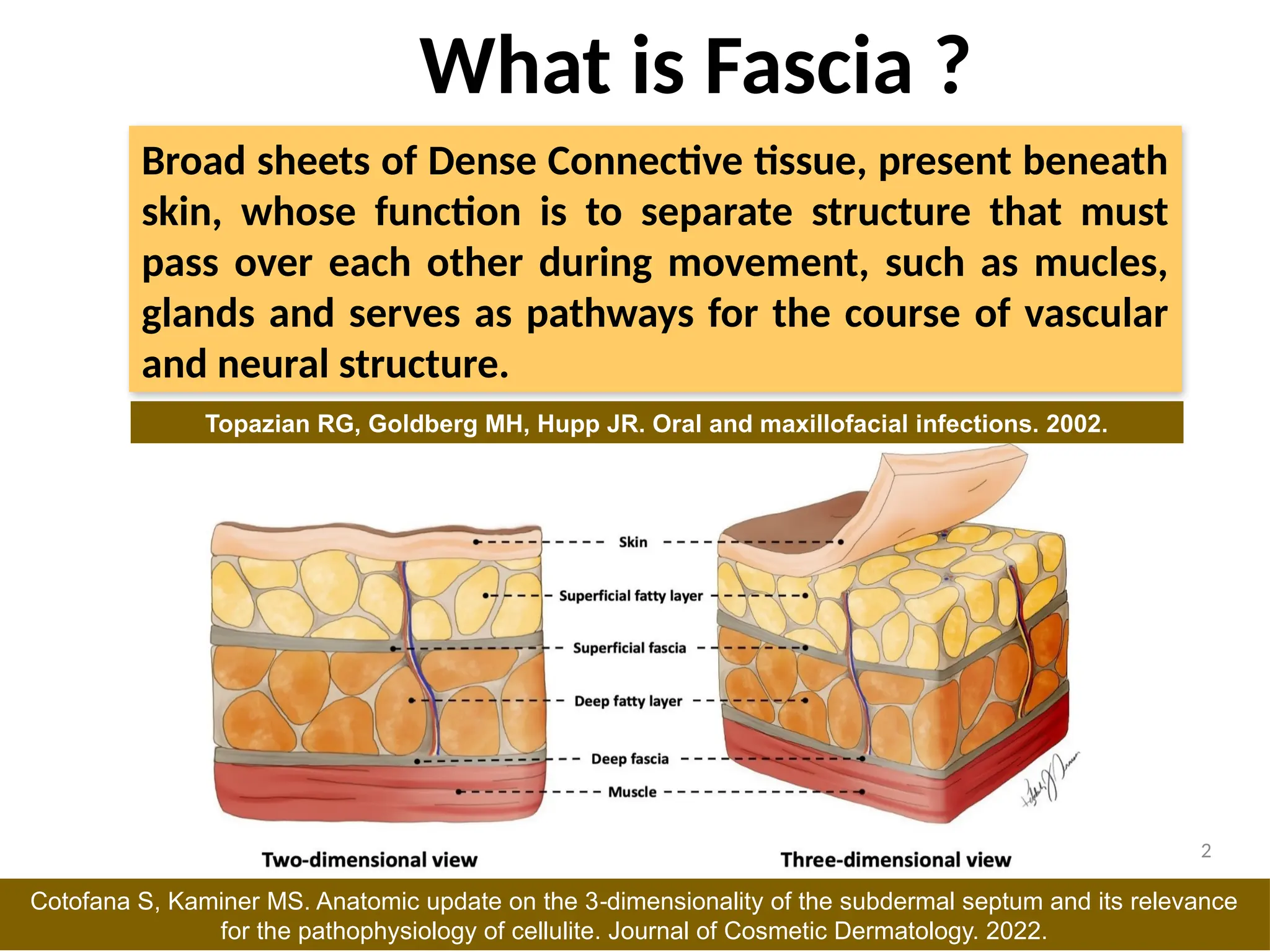 SURGICAL ANATOMY OF MAXILLOFACIAL SPACES | PPT
