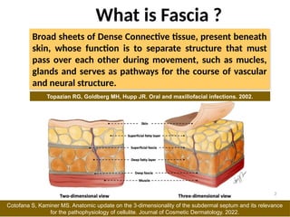 SURGICAL ANATOMY OF MAXILLOFACIAL SPACES | PPTX