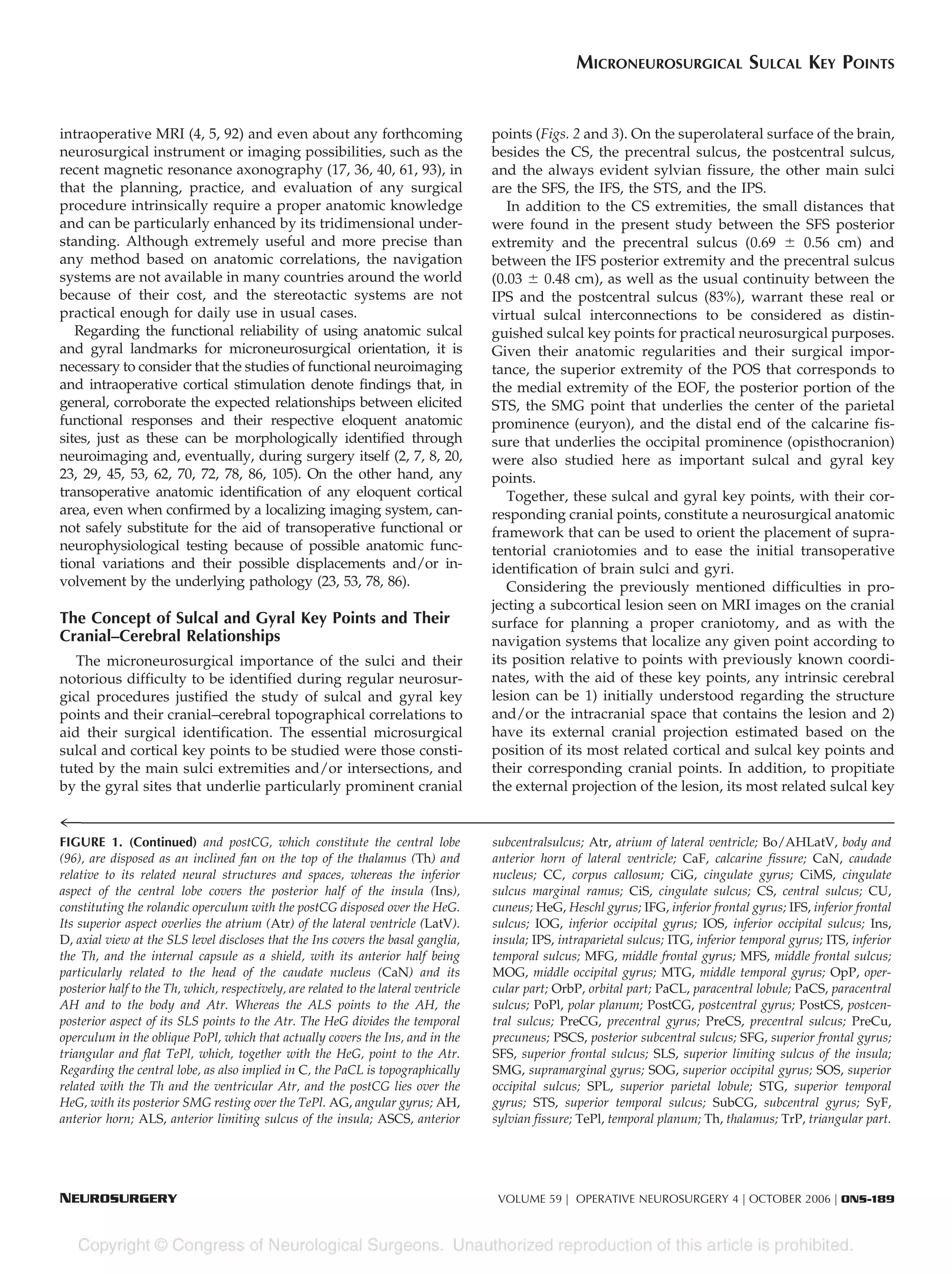 Surgical anatomy of microsurgical sulcal key points | PDF