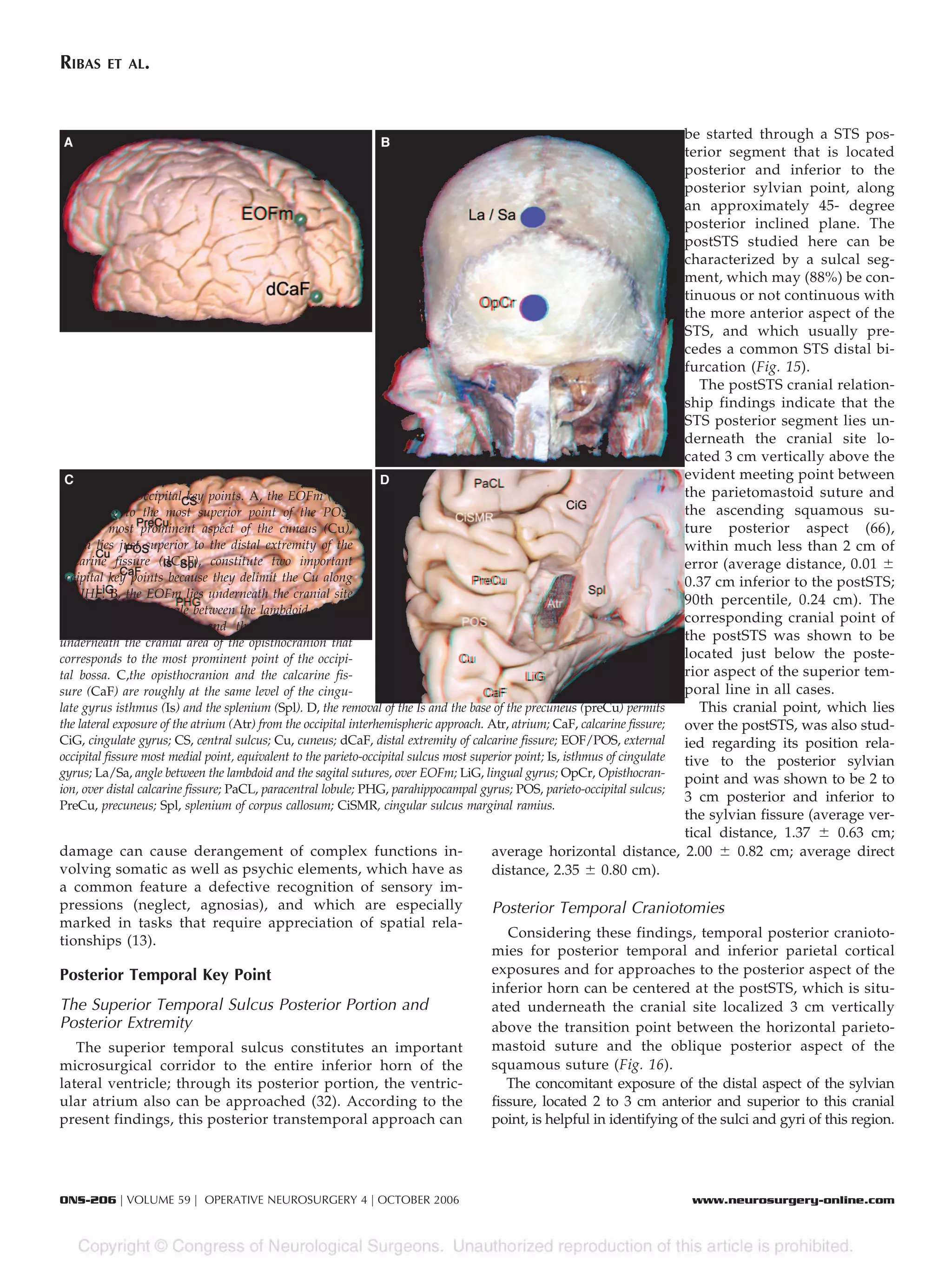 Surgical anatomy of microsurgical sulcal key points | PDF