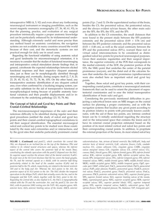 Surgical anatomy of microsurgical sulcal key points | PDF