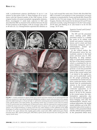 Surgical anatomy of microsurgical sulcal key points | PDF