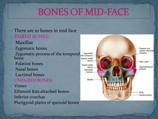SURGICAL ANATOMY OF MID FACE.pptx