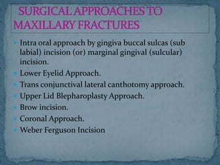 SURGICAL ANATOMY OF MID FACE.pptx