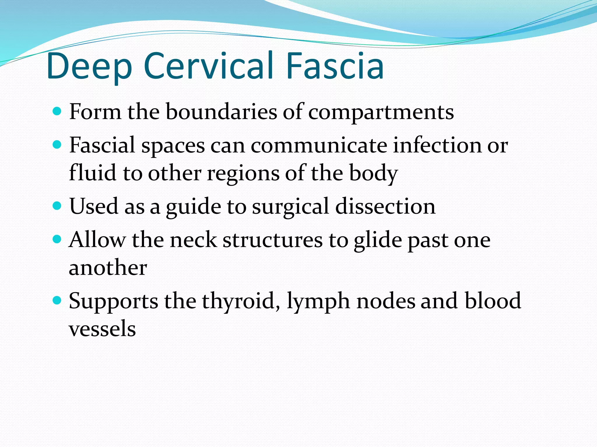 Surgical anatomy of neck | PPTX