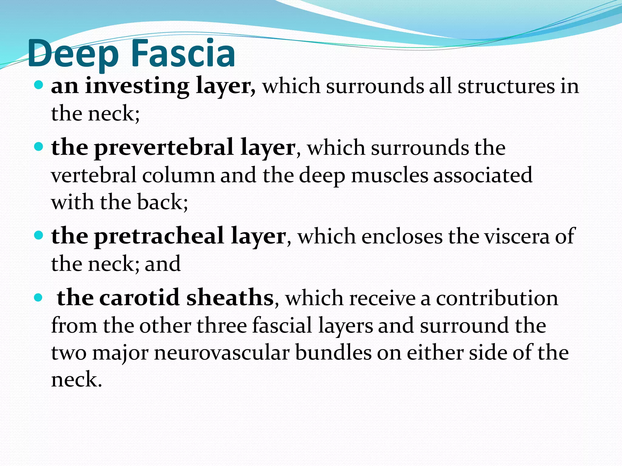 Surgical anatomy of neck | PPTX