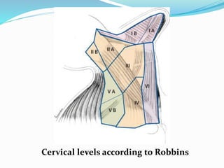Surgical anatomy of neck | PPTX