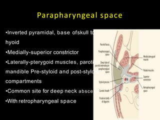 surgical anatomy of neck by Dr. SUDIN KAYASTHA.pptx