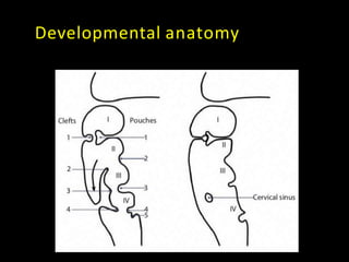 surgical anatomy of neck by Dr. SUDIN KAYASTHA.pptx