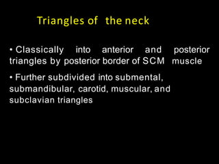 surgical anatomy of neck by Dr. SUDIN KAYASTHA.pptx