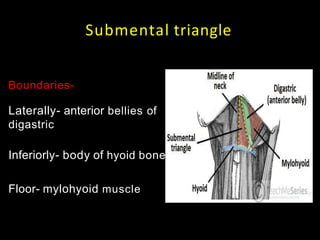 surgical anatomy of neck by Dr. SUDIN KAYASTHA.pptx