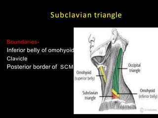 surgical anatomy of neck by Dr. SUDIN KAYASTHA.pptx