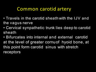 surgical anatomy of neck by Dr. SUDIN KAYASTHA.pptx