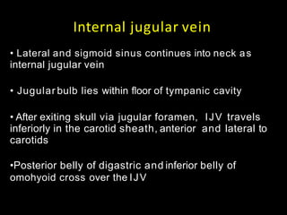 surgical anatomy of neck by Dr. SUDIN KAYASTHA.pptx