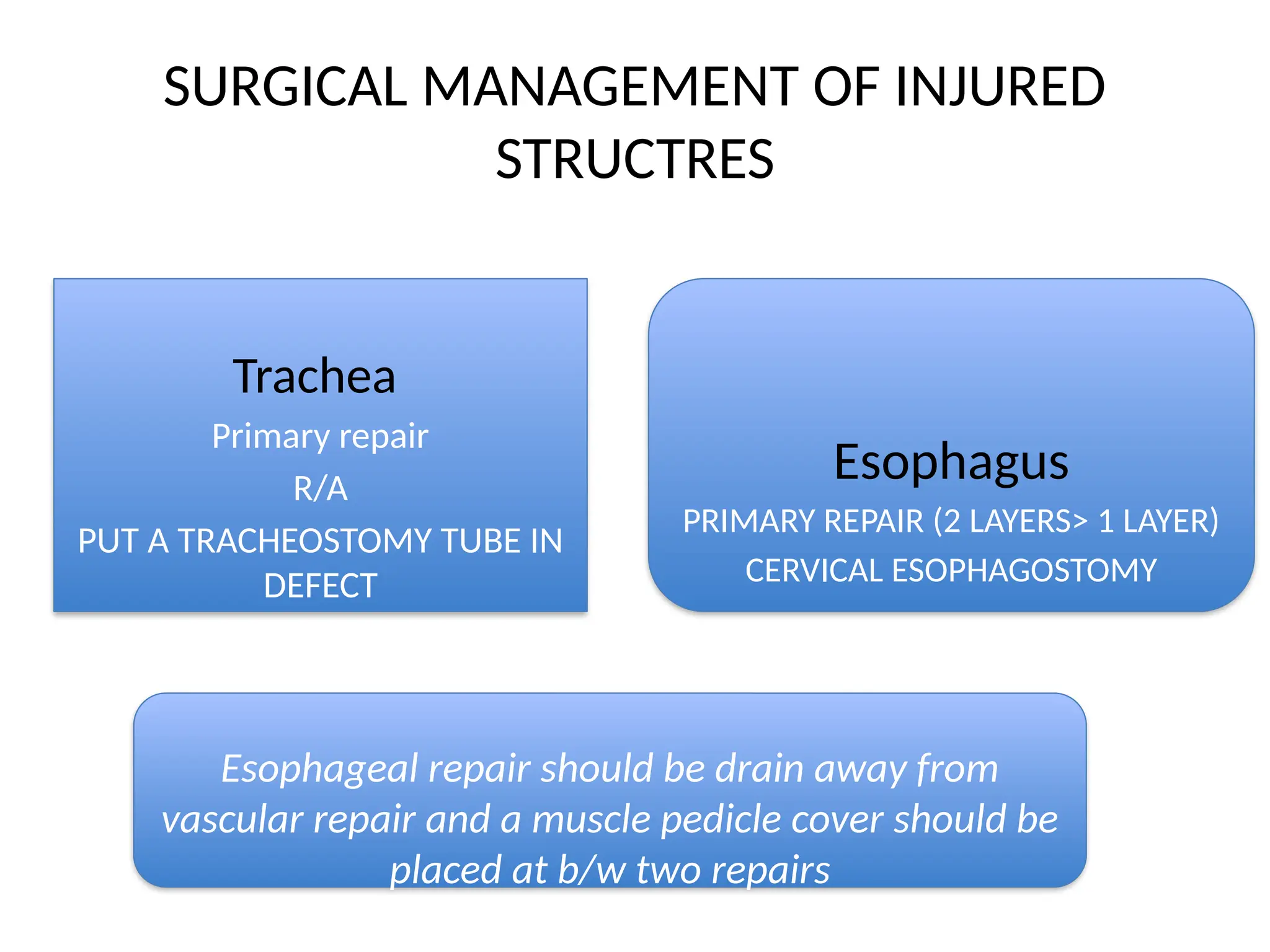 Surgical_Anatomy_of_Neck_and_Trauma_Management.pptx