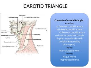 Surgical_Anatomy_of_Neck_and_Trauma_Management.pptx