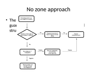 Surgical_Anatomy_of_Neck_and_Trauma_Management.pptx