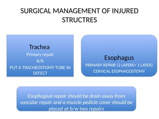 Surgical_Anatomy_of_Neck_and_Trauma_Management.pptx