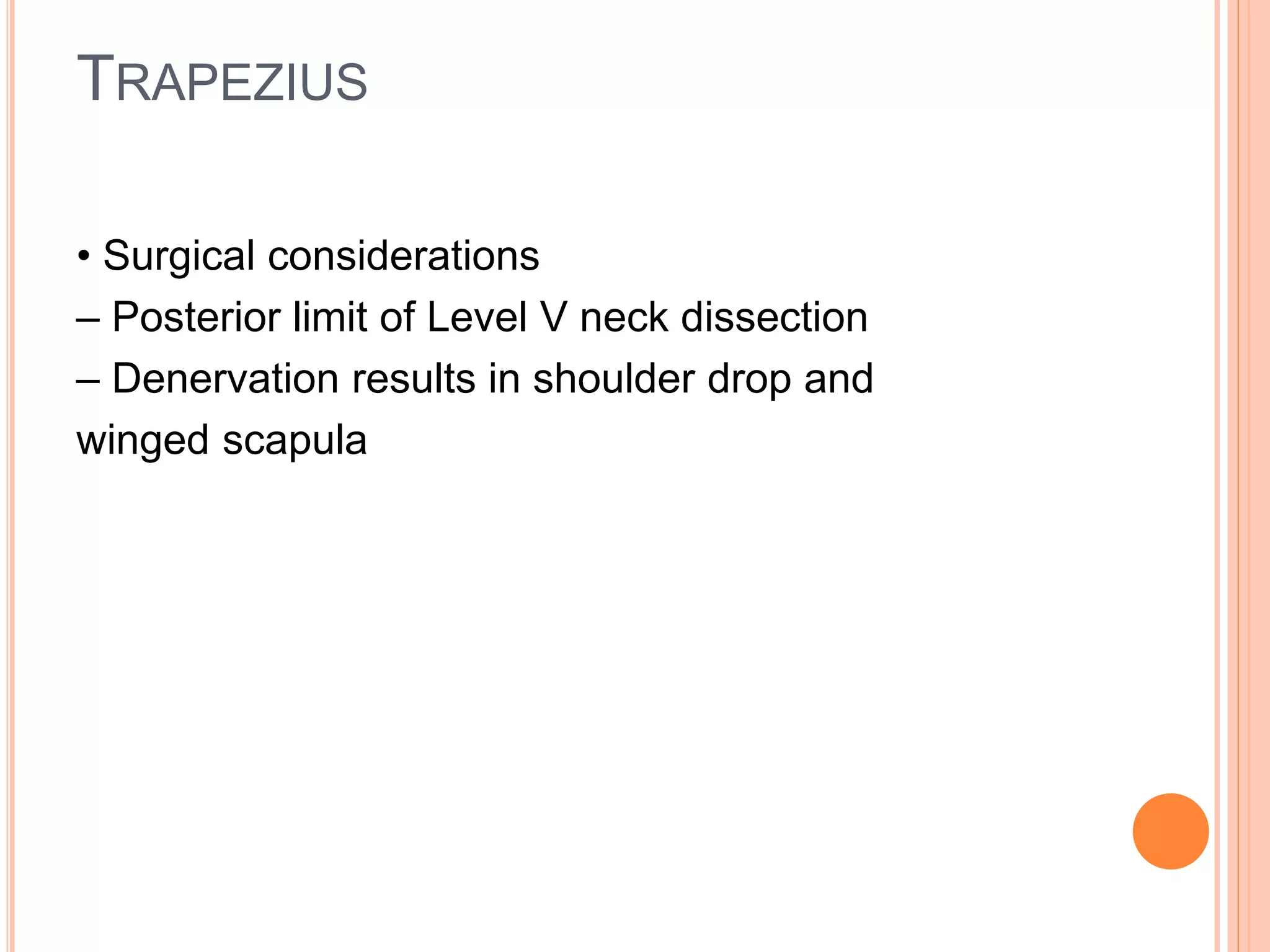 Surgical anatomy of neck and types of neck dissection | PPTX