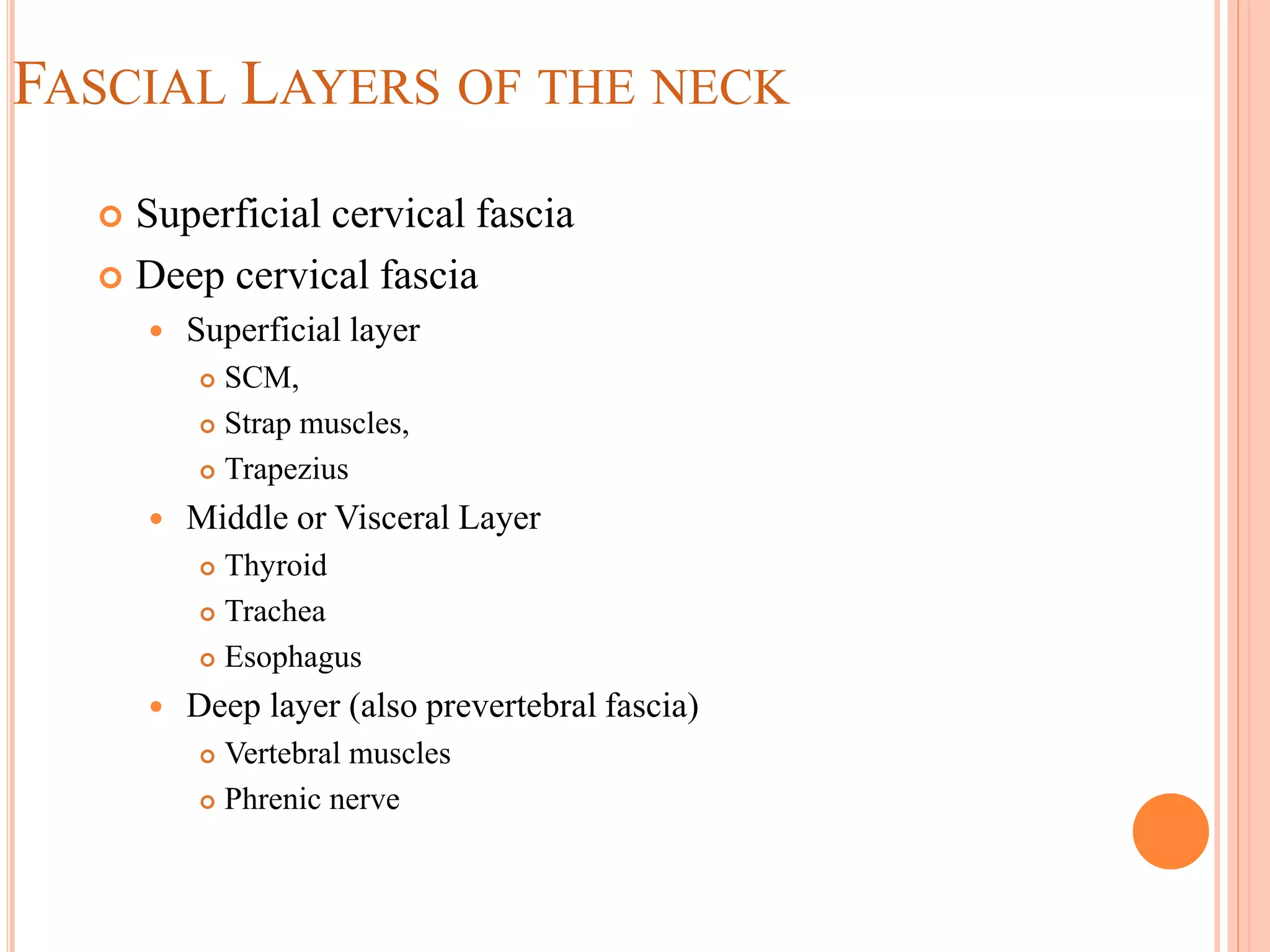 Surgical anatomy of neck and types of neck dissection | PPTX